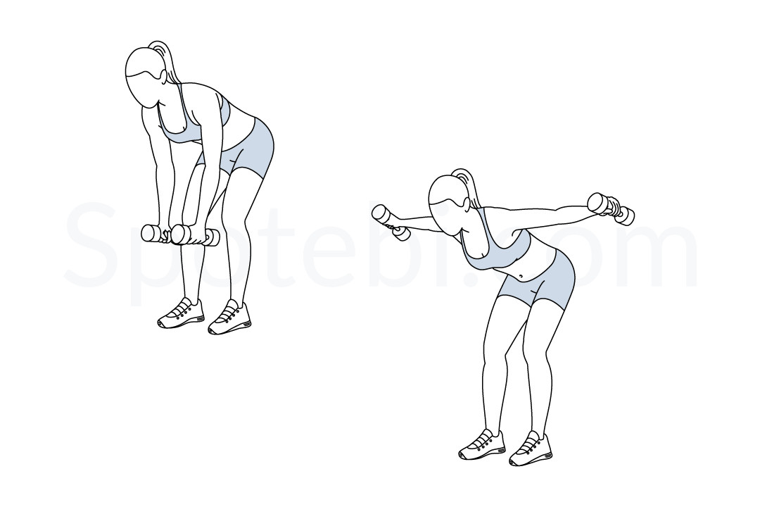 Bent Over Lateral Raise | Illustrated Exercise Guide Bent Over Lateral Raise | Illustrated Exercise Guide