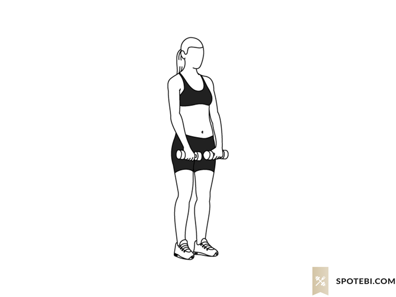 Dumbbell Front Raise | Illustrated Exercise Guide Dumbbell Front Raise | Illustrated Exercise Guide