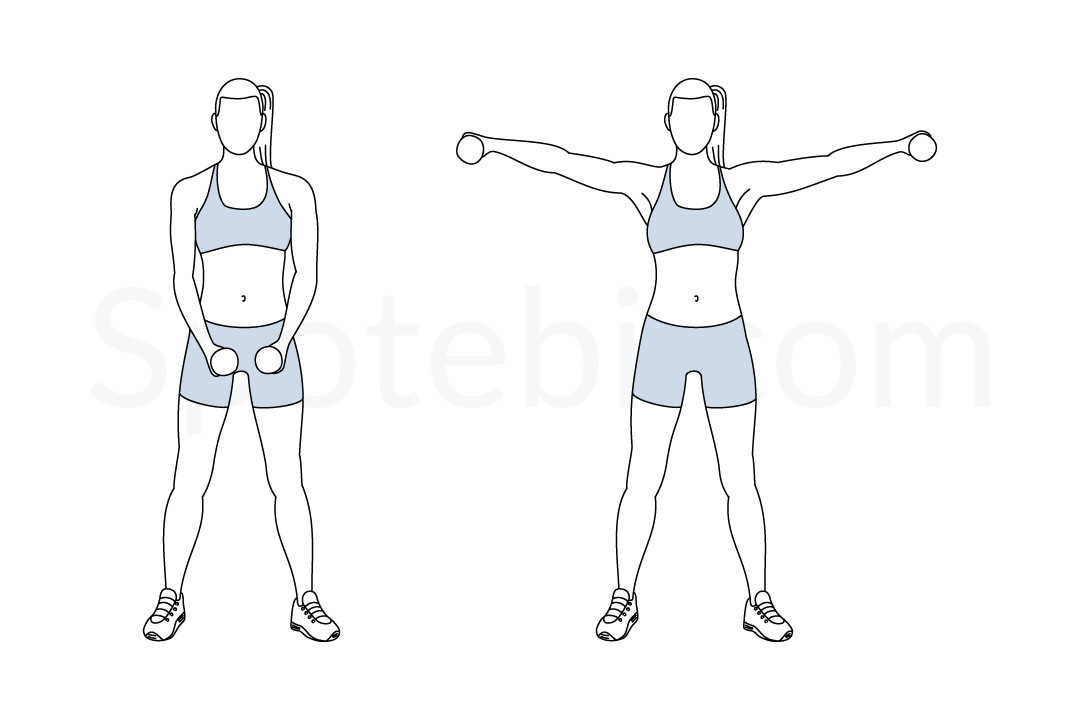 Dumbbell Lateral Raise | Illustrated Exercise Guide Dumbbell Lateral Raise | Illustrated Exercise Guide