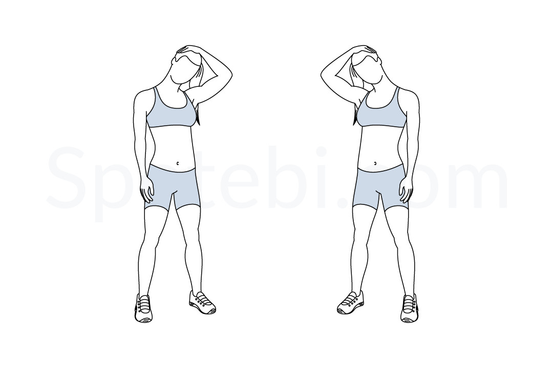 Neck Stretch | Illustrated Exercise Guide Neck Stretch | Illustrated Exercise Guide