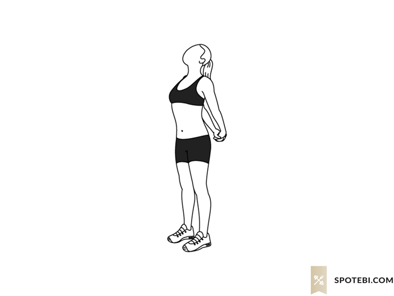 Biceps Stretch Illustrated Exercise Guide