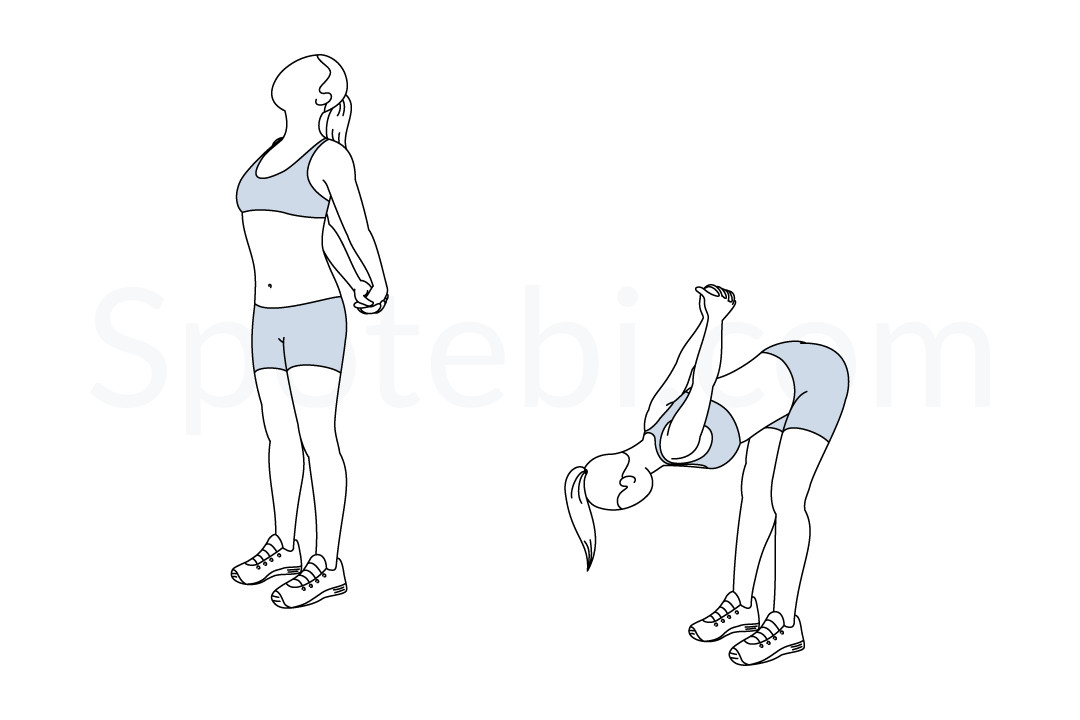 Biceps Stretch | Illustrated Exercise Guide Biceps Stretch | Illustrated Exercise Guide