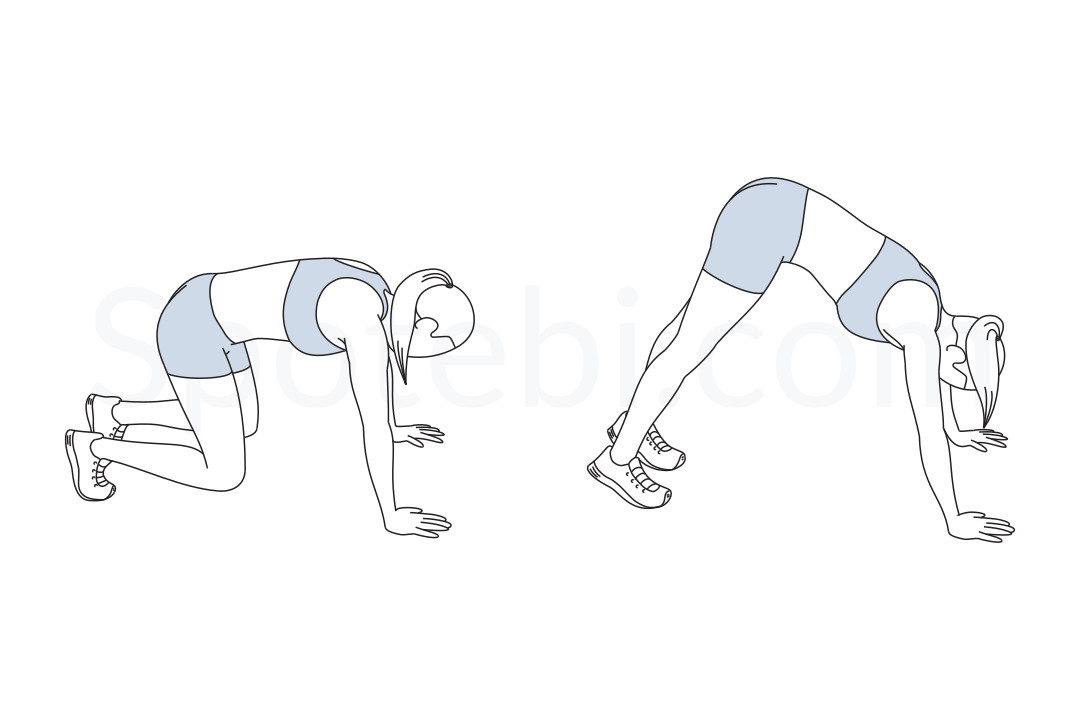 Bear Squat | Illustrated Exercise Guide Bear Squat | Illustrated Exercise Guide