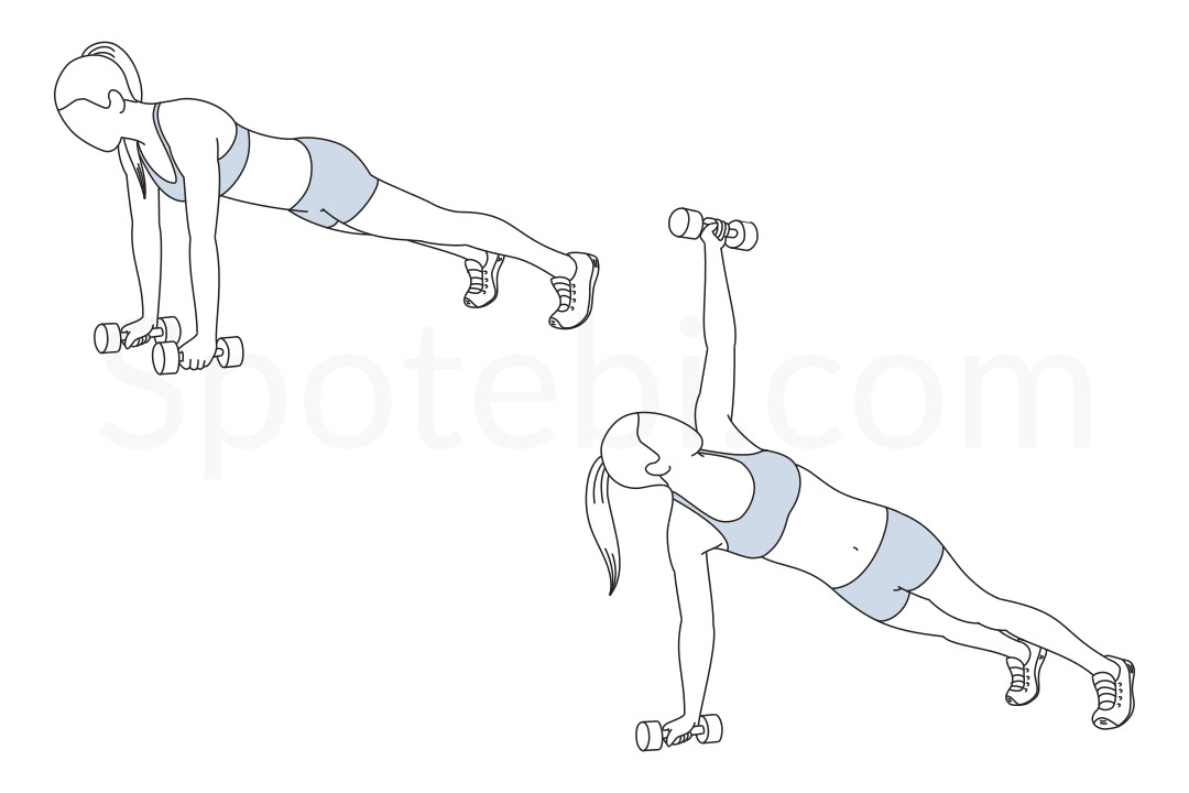 Dumbbell Plank Rotation | Illustrated Exercise Guide Dumbbell Plank Rotation | Illustrated Exercise Guide